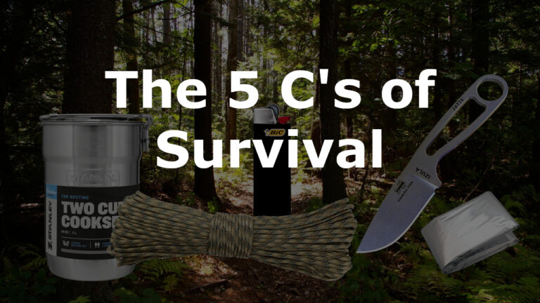 The 5 C's of Survival - PointedlySharp